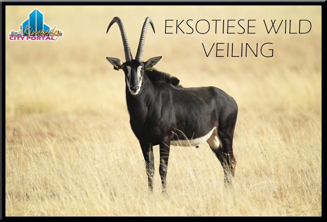 Christoff Viljoen Eksotiese Wildveiling • Kimberley PORTAL