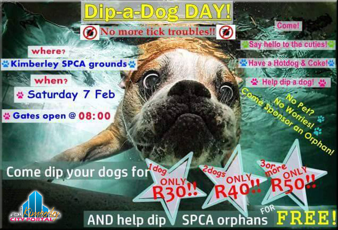 Dip a Dog Day @ SPCA • Kimberley PORTAL