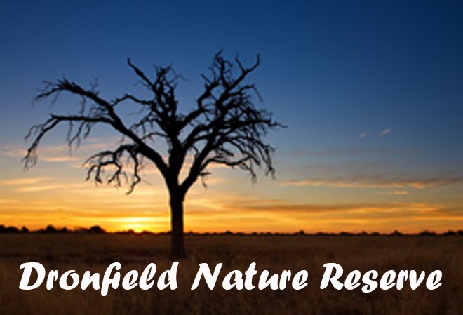 Dronfield Nature Reserve • Kimberley • CITY PORTAL